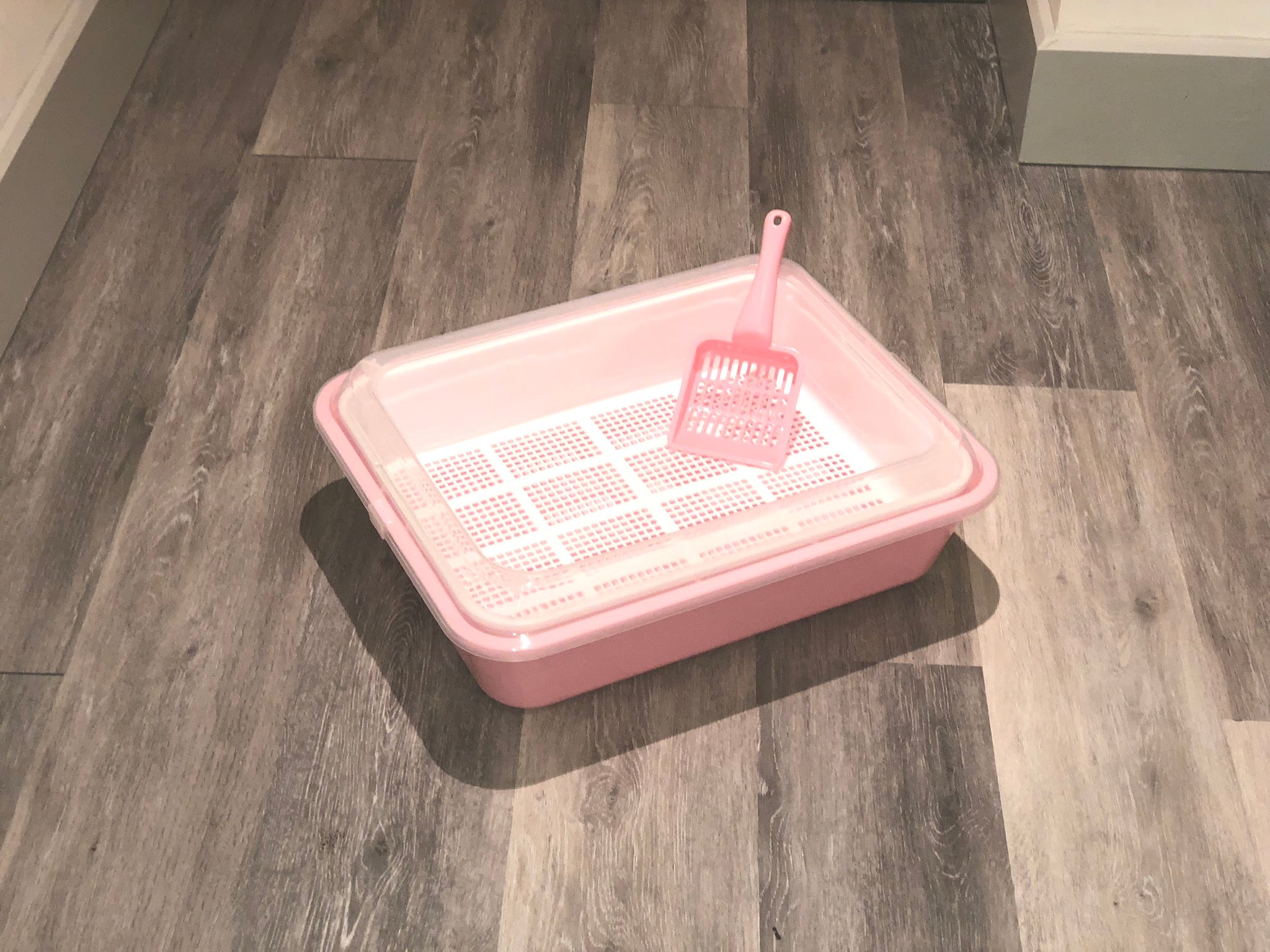 Cat / Kitten Sieve Litter Tray System with Scoop – Brit Pet